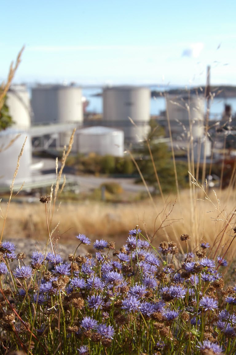 Nynas Management Systems