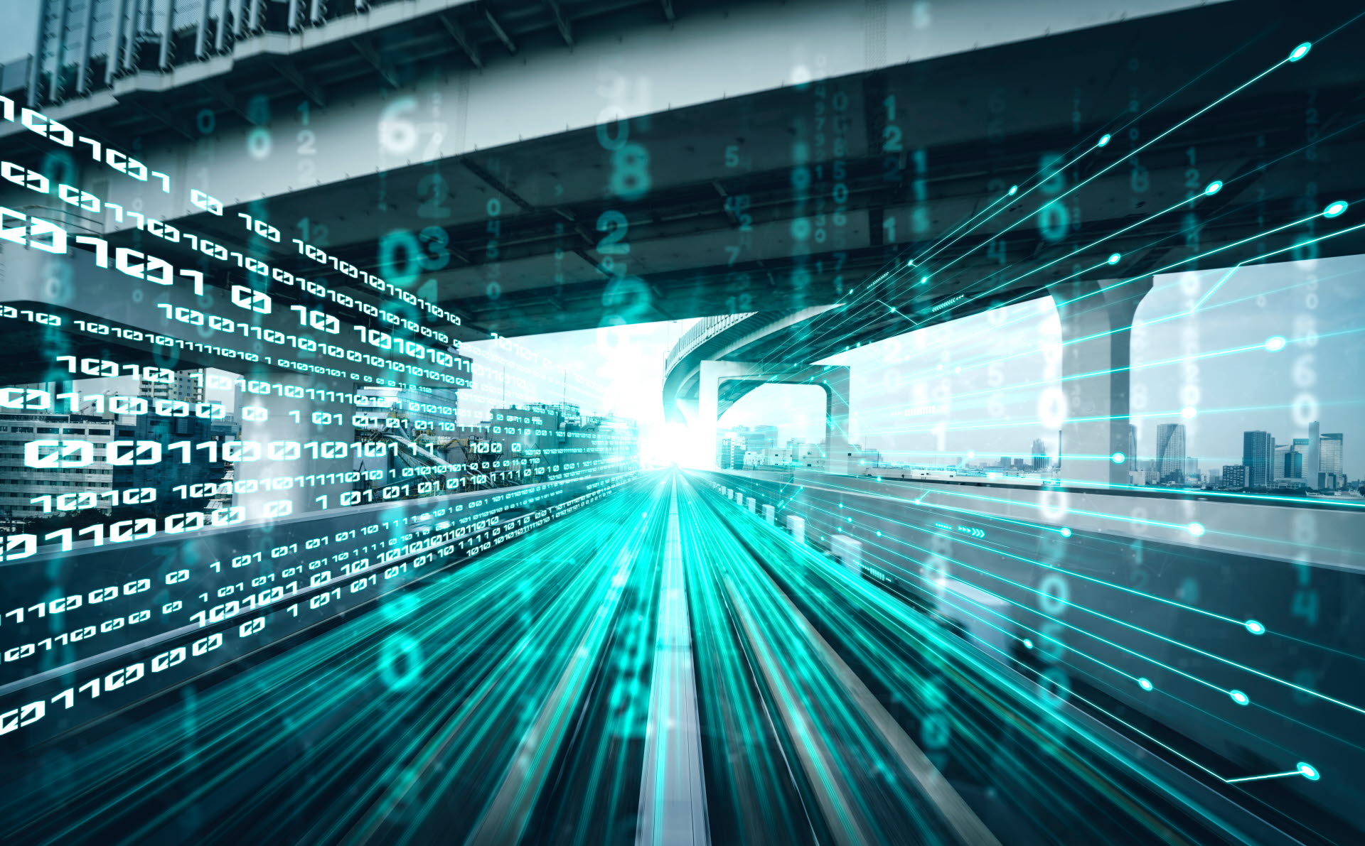 NYTRO BIO 300X calculator